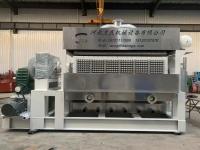 China 380V 50Hz 7000pcs/H Paper Egg Tray Machine with 6 Layers Metal Dryer for sale