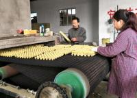 China 4000pcs Per Hour Rotary Pulp Egg Tray Moulding Machine For Chicken Eggs for sale