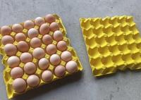 China 7000pcs/Hr Egg Tray Pulp Moulding Machine 6-8 Egg with Brick Oven Dryer 380V for sale