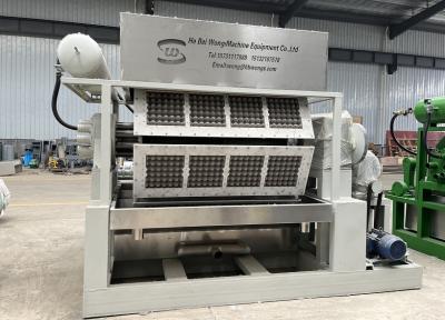 China Fully Automatic Waste Paper Recycle Egg Tray Making Machine 5000pcs/h 380V for sale