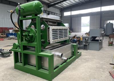 China Recycle Waste Paper Fully Automatic Egg Tray Machine Seeding Tray Making 100kw for sale