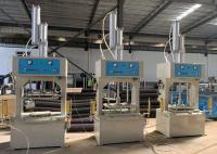 China Automatic Vacuum Paper Pulp Molding Machine Packaging Seed Tray Products for sale