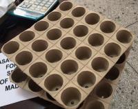 China 5000pcs/Hour Paper Moulding Machine Seeding Pots Making for sale