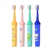 China 2024 China Factory Wholesale Waterproof Electric Toothbrush With Smart Timer for sale