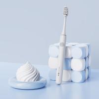 China Adult Electric Toothbrush Wholesale DuPont soft bristle Battery Powered Waterproof for sale