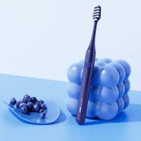 China Rechargeable Electric Toothbrush Sonic Wireless Charging Waterproof Toothbrush Electric for sale