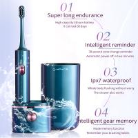 China Professional Adult Electric Toothbrush Customizable UV Disinfection Equipment With 4 Cleaning Modes And Smart Timer for sale