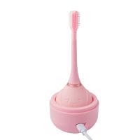 China Professional Sonic Electric Toothbrush Inductive Wireless Charging IPX7 Waterproof Electric Toothbrush for sale
