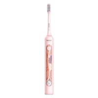 China Oral Care Sonic Electric Toothbrush for sale