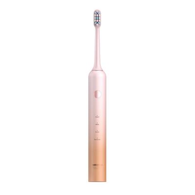 China Adult Electric Toothbrush Waterproof USB Charging Rechargeable IPX7 Powerful With Carrying Case for sale