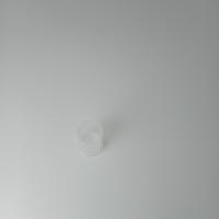 China High Durability PET Half Cap Plastic Top Cap Customizable Unbreakable for sale
