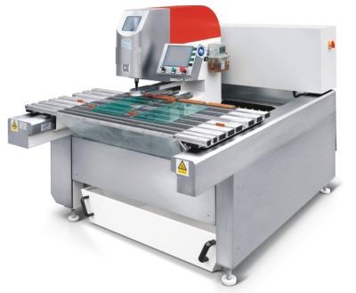China Automatic CNC Drilling Machine for Household Electrical Appliances Glass for sale