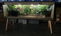 China 67×50×45cm Waterproof Wooden Reptile Terrarium with Automatic Temperature Control - Customizable Pet Enclosure for sale