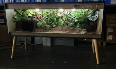 China 67×50×45cm Waterproof Wooden Reptile Terrarium with Automatic Temperature Control - Customizable Pet Enclosure for sale