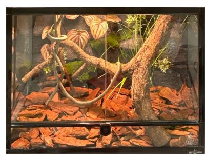 China Lightweight PU Vivarium Rock Background 58.5x41.5cm Decorative Stone Panel for Pet Habitat for sale