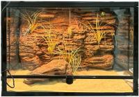 China Customized Designs DIY Reptile Terrarium Background With 3D Texture SL-M42 for sale