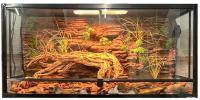 China Decorative DIY Enclosure Background Customization For Natural Environment for sale