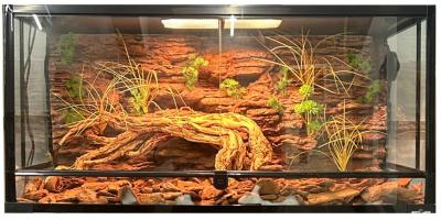 China SL-M50A 3D Vivarium Background Panel 58.5x25x28.5cm PU Material 3600g Weight Customizable for sale