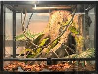 China Customizable Eco-Friendly Artificial Tree Stump for Reptile Terrarium Background 57x30x41cm PU Material SL-M14A for sale