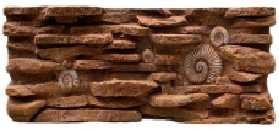 China Simulated Fossil Landscape Terrarium Background For Snacks And Lizards for sale