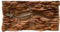 China PU Simulated Terrarium Rock Background Non Toxic Moisture Resistant for sale