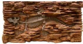 China PU Simulated Terrarium Rock Background Non Toxic Moisture Resistant for sale