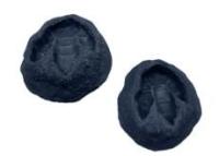 China Footprint Shape Large Reptile Water Bowl 20cm x 17cm x 5cm with Thickened Bottom - Food Grade PU Material for sale