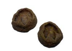 China Footprint Shape Reptile Water Dish 15.5cm x 14cm Food-Grade PU Material 3D Simulation Design for sale