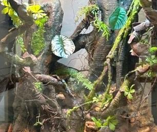 China PU Reptile Vivarium Background 28.5x19x27.5cm Natural Tree Stump Texture Eco-Friendly Pet Terrarium Decor for sale