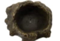 China Food Grade Reptile Water Bowl 10CM x 7CM x 5CM with 3D Simulation Process and Thickened Bottom Design for sale