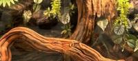 China Vivarium Background Environmentally Friendly Material Moisture-proof Simple Operation for sale