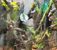 China 3D Vivarium Background Realistic Rocks Accessories 4 Pieces 27.5x23x41.5cm PU Pet Enclosure Decor for sale
