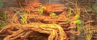 China Lizard Cage Backgrounds Lifelike Textures Authentic Natural Eco-Friendly Construction​ for sale