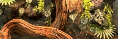 China Reptile Enclosure Background Model SL-M29A Modular Design Eco-Friendly Material for sale