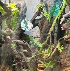 China Reptile Terrarium Background SL-M19B Simulated Rock Mix Board 52.5x26.5x54 cm PU for sale