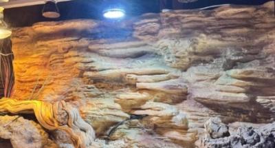 China Water Resistant Reptile Tank Background Eco Friendly And Easy Maintenance for sale