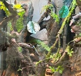 China Environmentally Reptile Enclosure Background Easy Cutting Rock Terrarium Background for sale