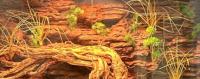 China Simulated Rock Reptile Background SL-M52A 118.5x20x41.5cm Natural PU Snake Cage Decor for sale