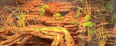 China Simulated Rock Reptile Background SL-M52A 118.5x20x41.5cm Natural PU Snake Cage Decor for sale