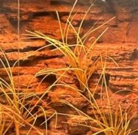 China PU Waterproof Reptile Rock Background 88.5x86.5cm Realistic Natural Texture Lightweight DIY Modular Panel for sale