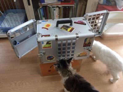 China Aluminum Dog Cage for Car 89x69x50cm Pet Grooming Carrier Case for sale