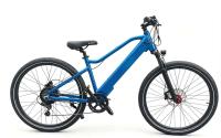 China Beach Electric Bike, Fat Tire E-Bike, Off Road Electric Bicycle, Outdoor Adventure Bike, Long Range E-Bike for sale