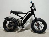 China Beach Electric Bike, Fat Tire E-Bike, Off Road Electric Bicycle, Outdoor Adventure Bike, Long Range E-Bike for sale