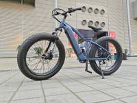 China Beach Electric Bike, Fat Tire E-Bike, Off Road Electric Bicycle, Outdoor Adventure Bike, Long Range E-Bike for sale