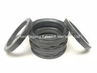 China Customized Silicon Carbide Seal Faces 1200 Deg High Temperature Cartridge Mechanical Seals for sale
