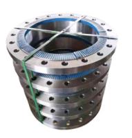 China Alloy Steel Blind Plate Flange DIN 2635 PN40 1/4-100 Inch Custom Sizes for sale