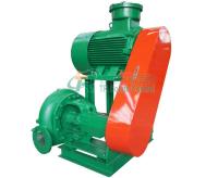 China Trenchless Tunnelling Shear Pump for sale