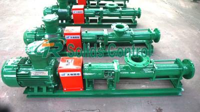 China G Type Screw Type Pump High Suction Height Low Noise Easy Maintenance for sale