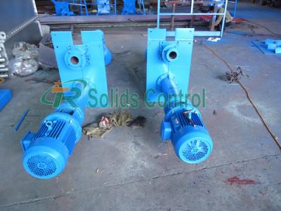 China Oil Gas Drilling 22m Lift Submersible Slurry Pump for sale