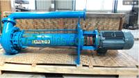 China 1480r/Min Speed Solid Control Oilfield Submersible Slurry Pump for sale